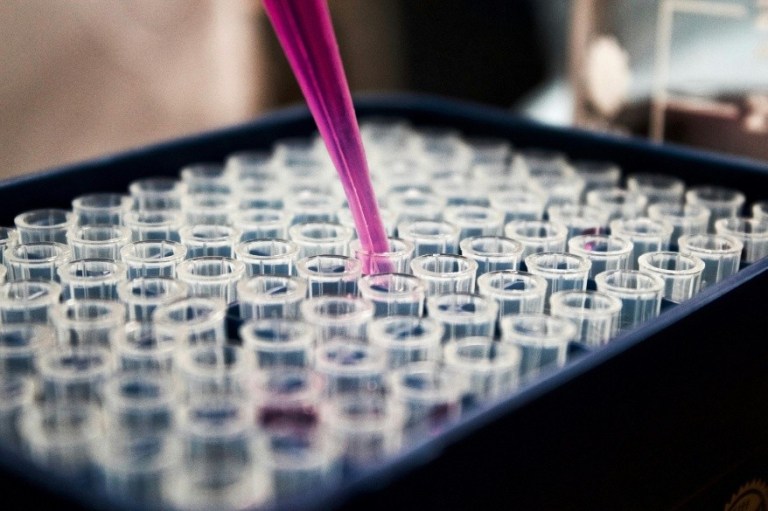 Microplastics and Human Health: What Do We Know?